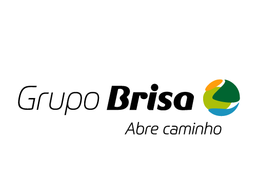 Conheça as empresas do Grupo Brisa